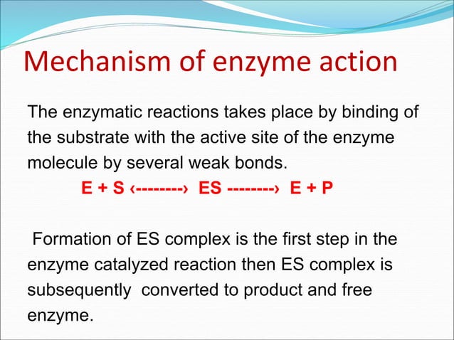 enzyme biochemistry classification regulation | PPT