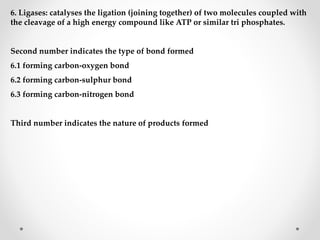 enzyme classfication.pptx