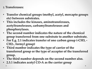 enzyme classfication.pptx
