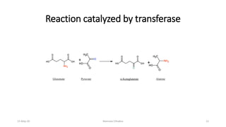 Enzyme classification | PDF | Chemistry | Science