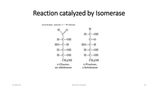 Enzyme classification | PDF