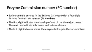 Enzyme classification | PDF