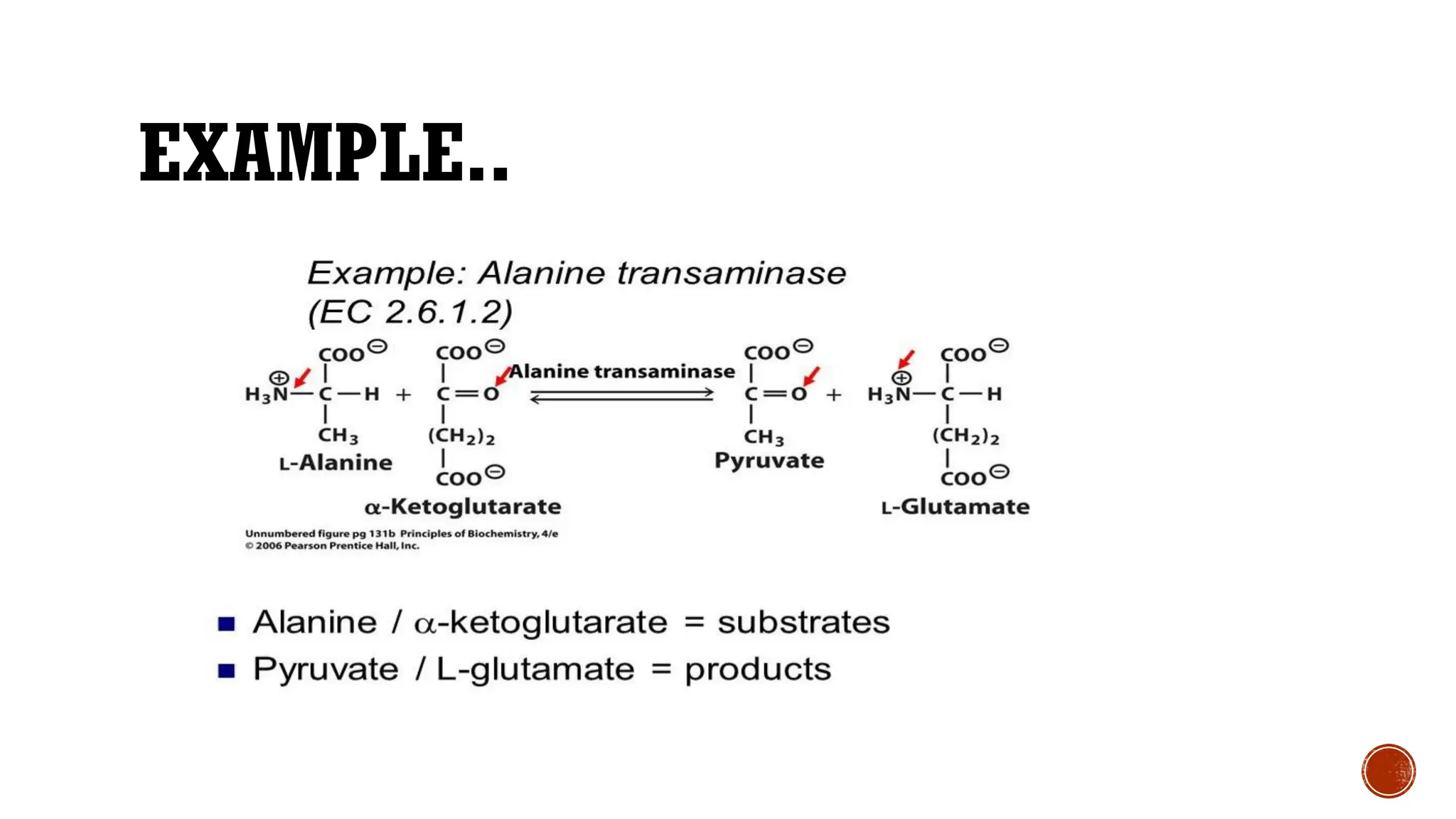 enzyme classification and nomenclature.pptx