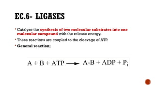 enzyme classification and nomenclature.pptx
