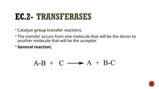 enzyme classification and nomenclature.pptx
