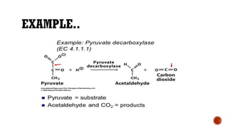 enzyme classification and nomenclature.pptx
