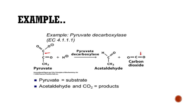 enzyme classification and nomenclature.pptx