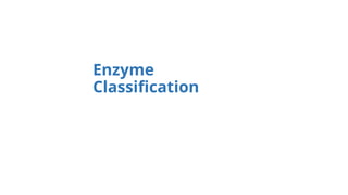 Enzyme Classification in the introductionof enzzymology.pptx