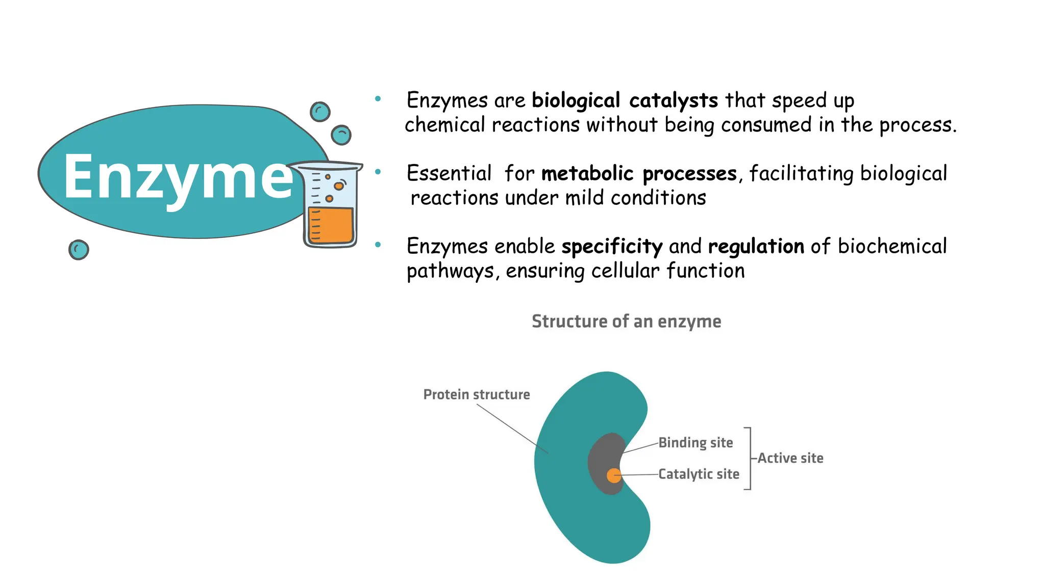 Classification of enzymes (with examples)) | PPTX
