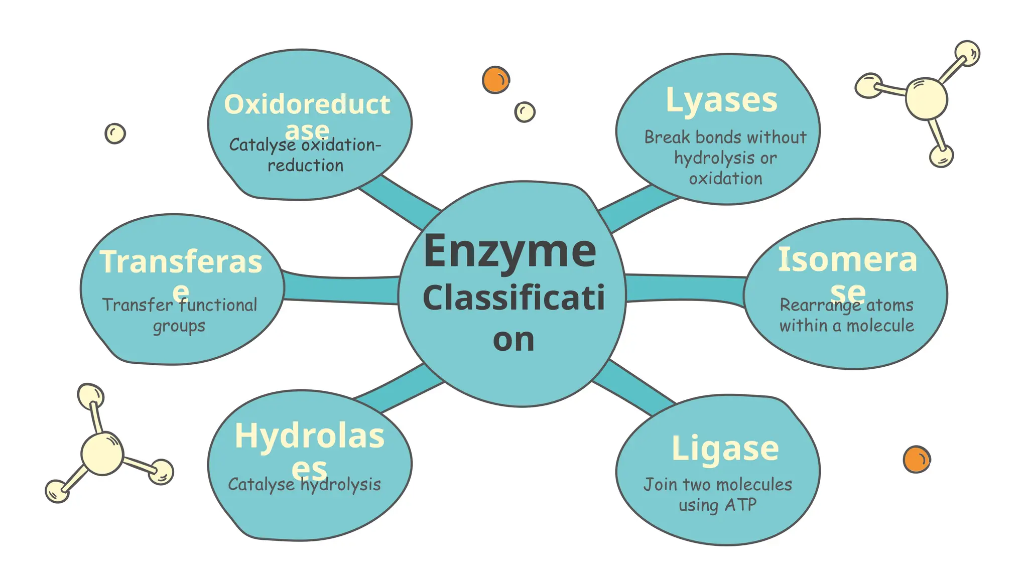 Classification of enzymes (with examples)) | PPTX