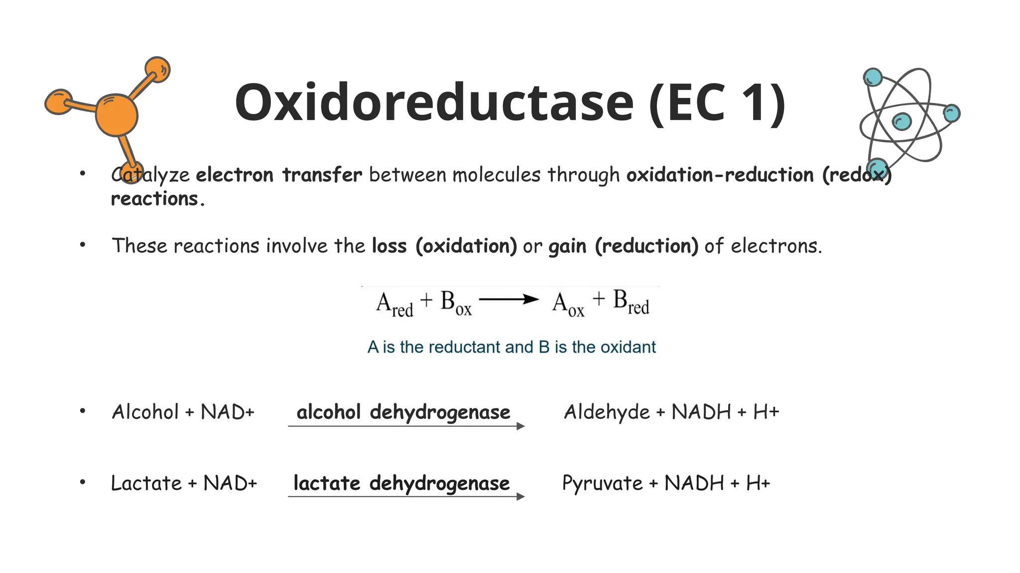 Classification of enzymes (with examples)) | PPTX