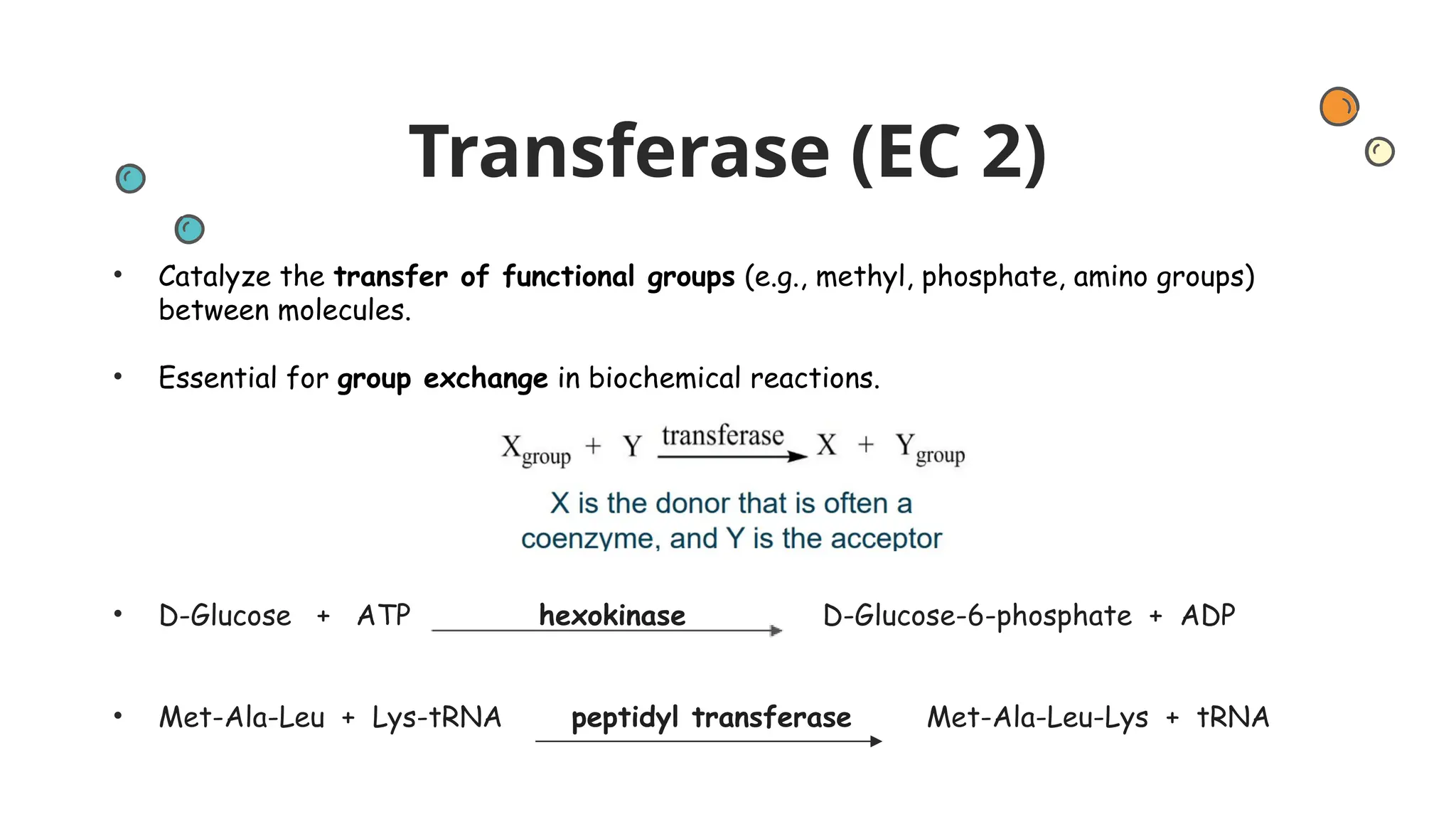 Classification of enzymes (with examples)) | PPTX