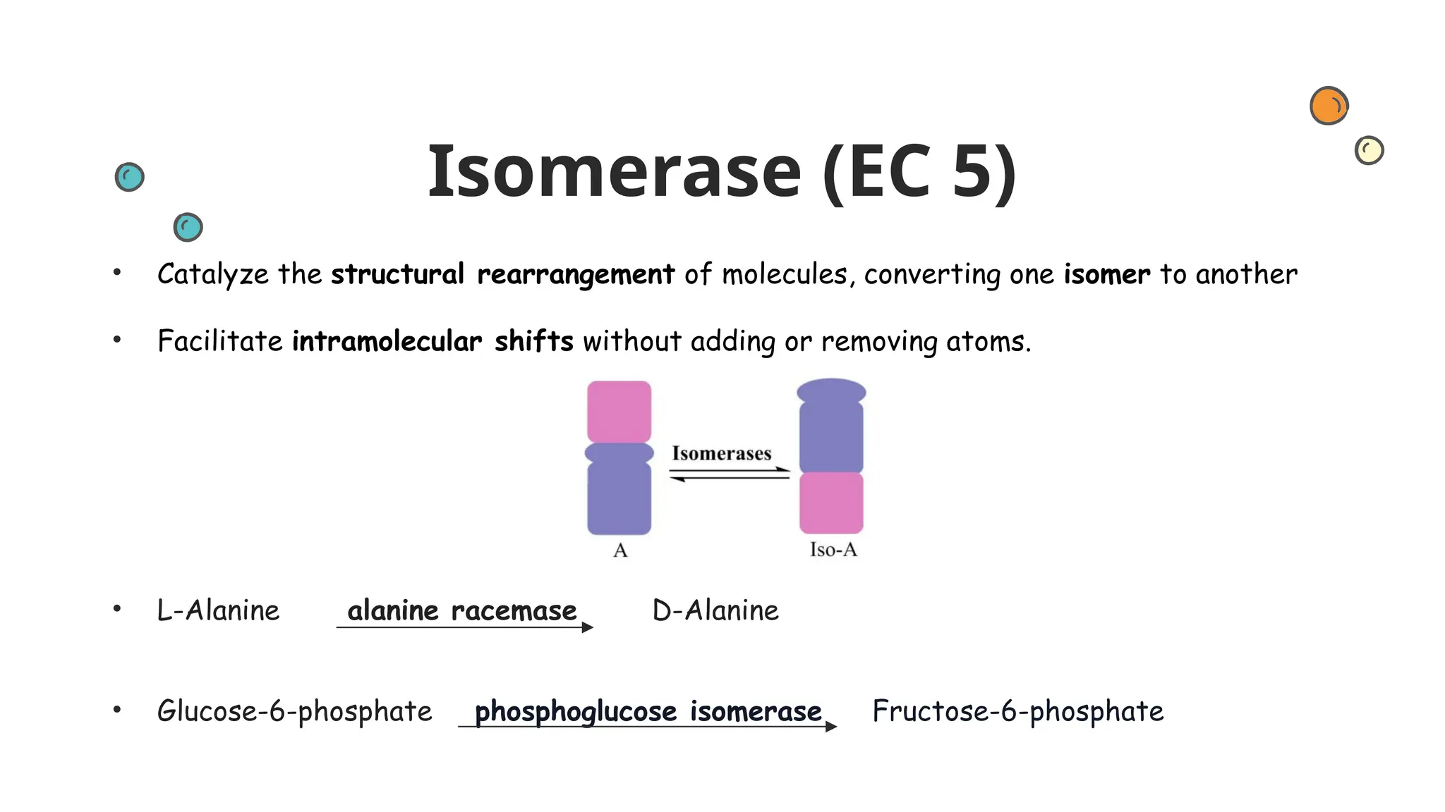 Classification of enzymes (with examples)) | PPTX