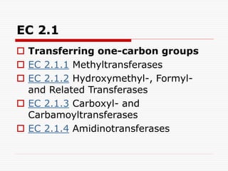 Enzyme classification (EC).ppt