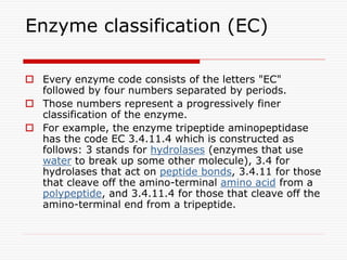 Enzyme classification (EC).ppt