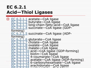 Enzyme classification (EC).ppt