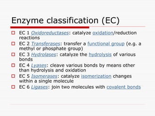 Enzyme classification (EC).ppt