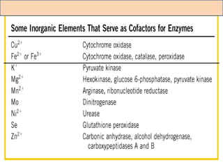 Enzyme cofactors | PPTX