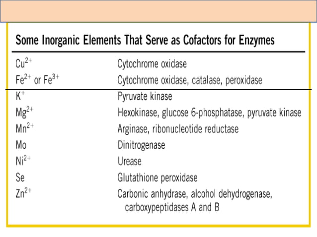 Enzyme cofactors | PPTX | Chemistry | Science