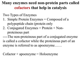 Enzyme cofactors | PPTX