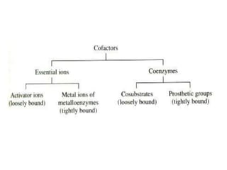 Enzyme cofactors | PPTX
