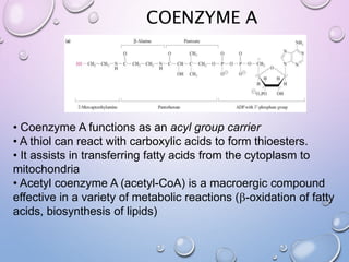 Enzyme Cofactors-Coenzymes-2.ppt