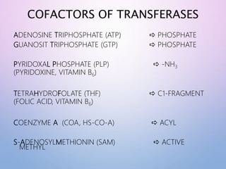 Enzyme Cofactors-Coenzymes.ppt