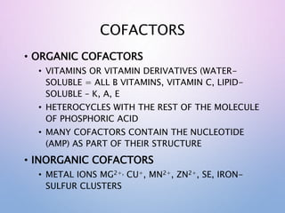Enzyme Cofactors-Coenzymes.ppt