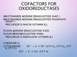 Enzyme Cofactors-Coenzymes.ppt