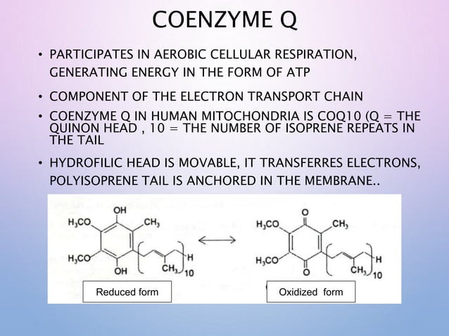 Enzyme Cofactors-Coenzymes.ppt | Chemistry | Science