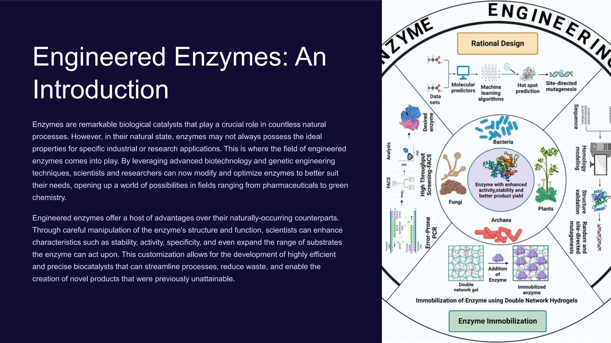 Engineered enzymes and their applicationsppt.pptx