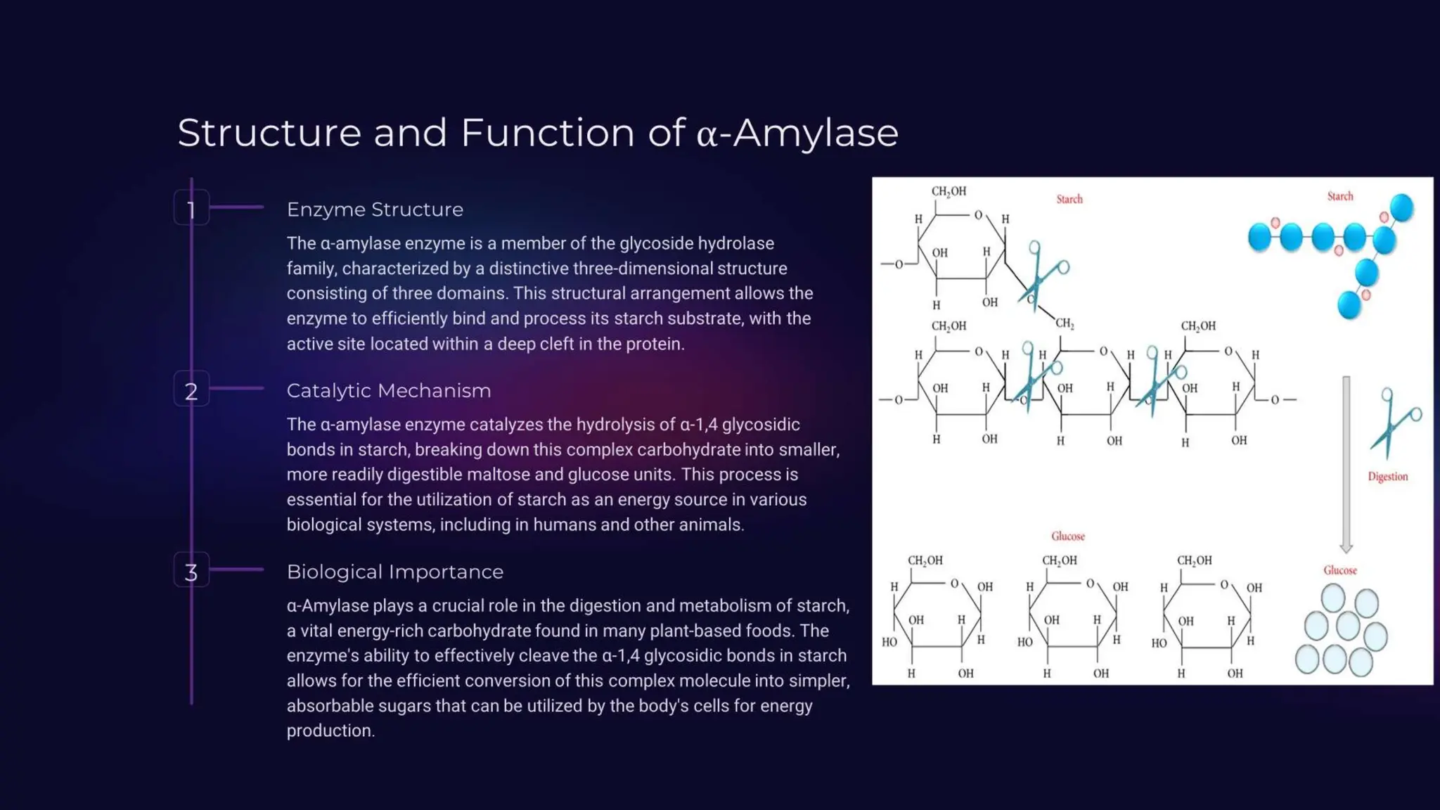 Engineered enzymes and their applicationsppt.pptx