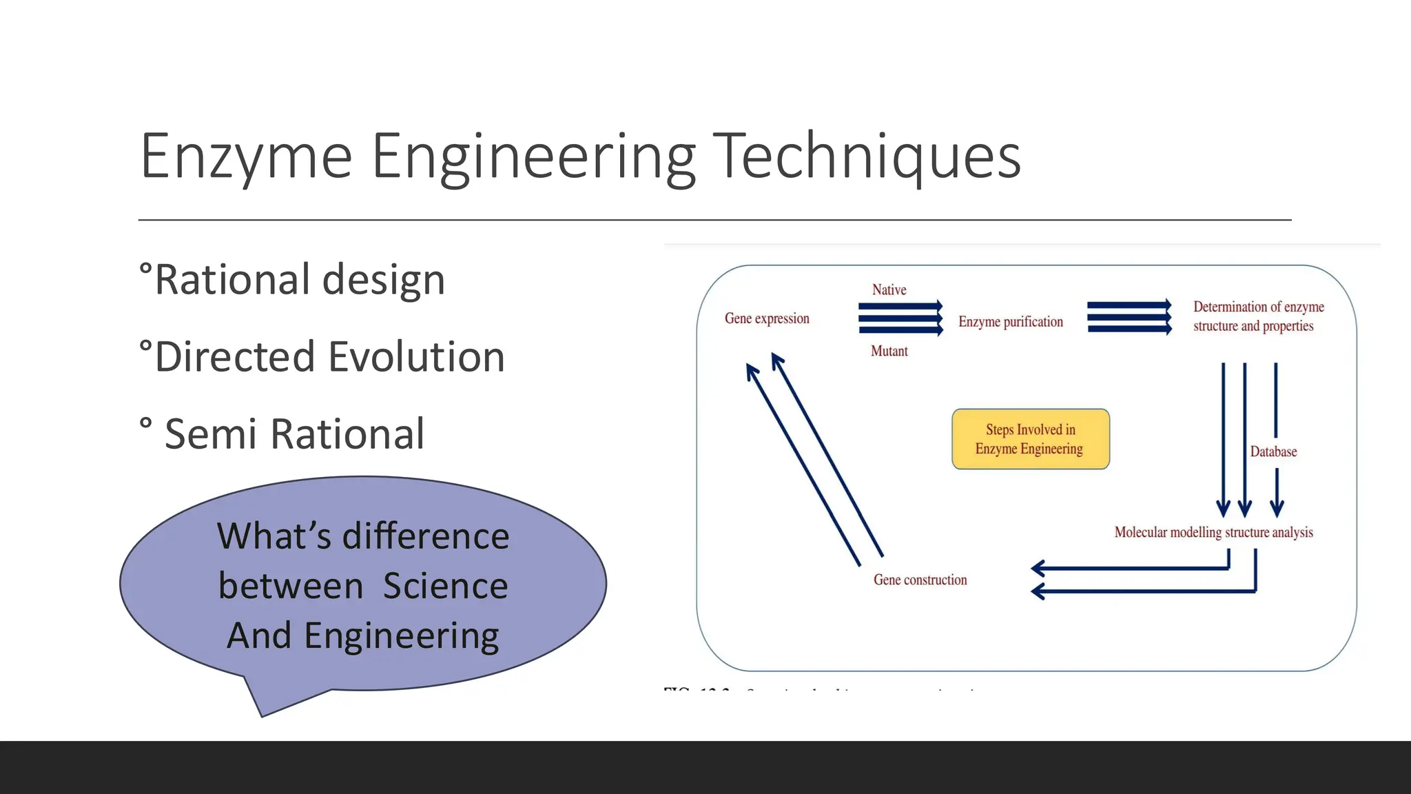 ENZYME ENGINEERING AND ITS INDUSTRIAL APPLICATIONS | PDF
