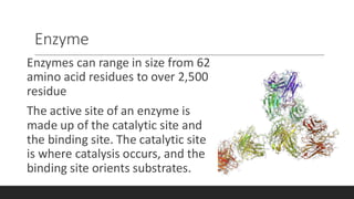 ENZYME ENGINEERING AND ITS INDUSTRIAL APPLICATIONS | PDF