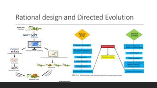 ENZYME ENGINEERING AND ITS INDUSTRIAL APPLICATIONS | PDF
