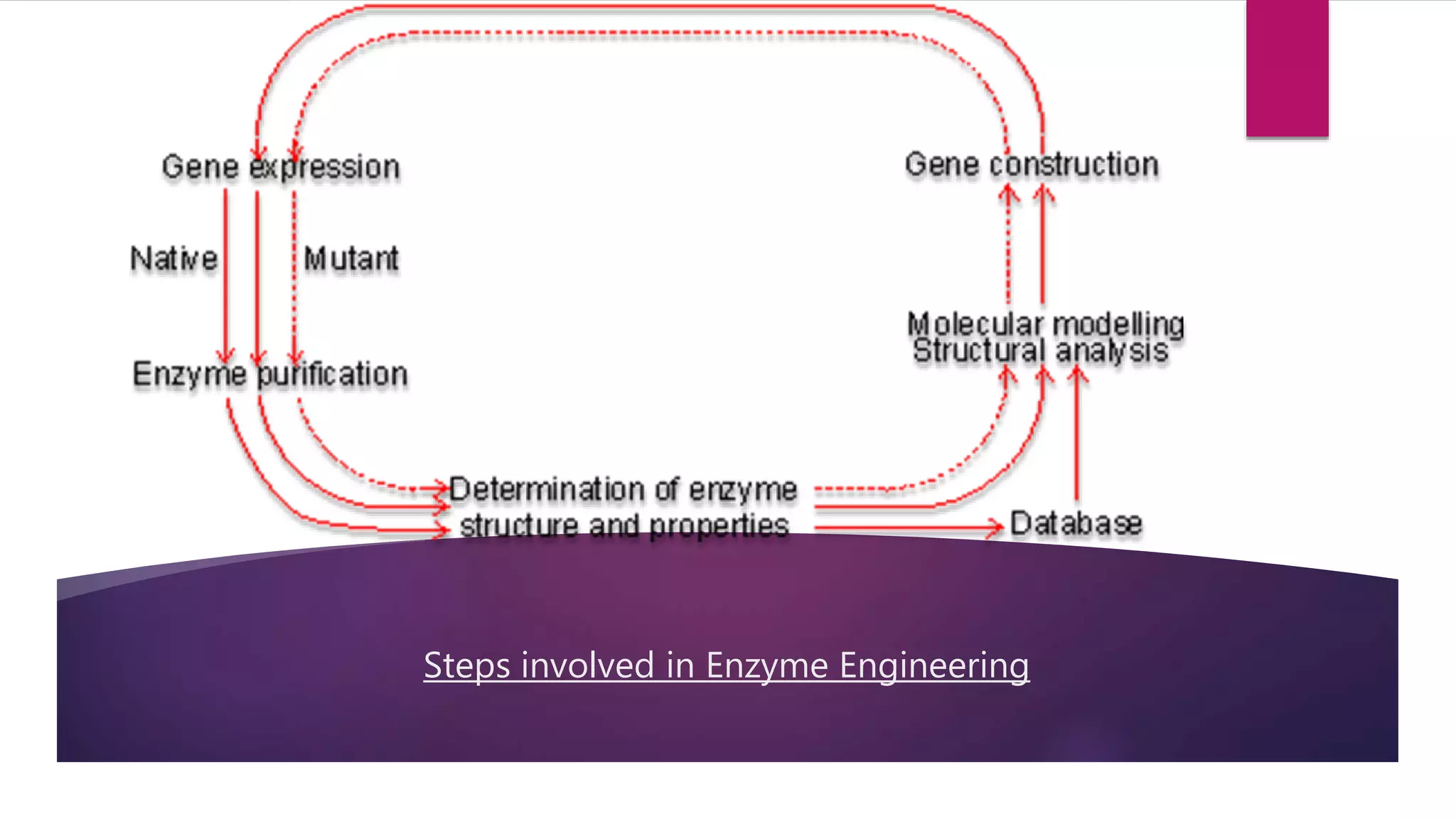 Enzyme engineering by tamizh | PPTX