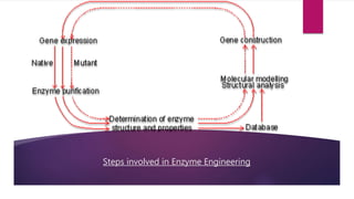 Enzyme engineering by tamizh | PPTX