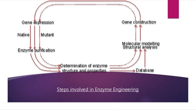 Enzyme engineering by tamizh