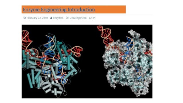 Enzyme engineering introduction
