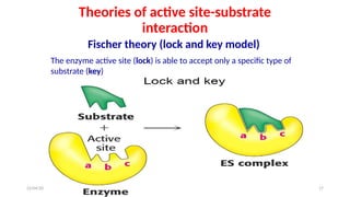 Enzyme Fundamental Aspects, catalysis & inhibition.pptx