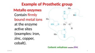 Enzyme Fundamental Aspects, catalysis & inhibition.pptx