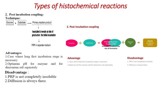 Enzyme histochemistry.pdf