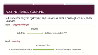 ENZYME HISTOCHEMISTRY.................pptx