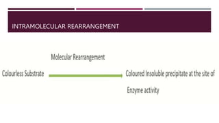 ENZYME HISTOCHEMISTRY.................pptx