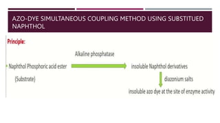 ENZYME HISTOCHEMISTRY.................pptx