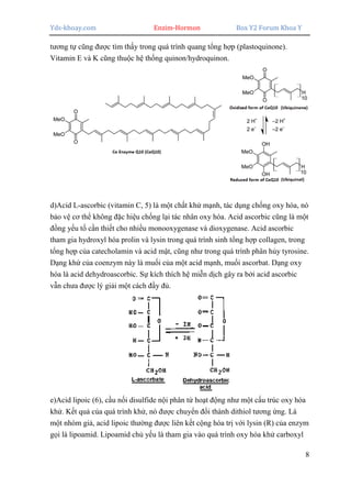 Enzyme - Hormon | PDF