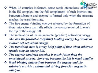 Enzyme II Mechanisms of action BSc 2nd sem .pdf