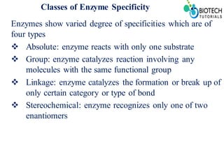 Enzyme II Mechanisms of action BSc 2nd sem .pdf