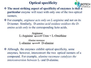 Enzyme II Mechanisms of action BSc 2nd sem .pdf