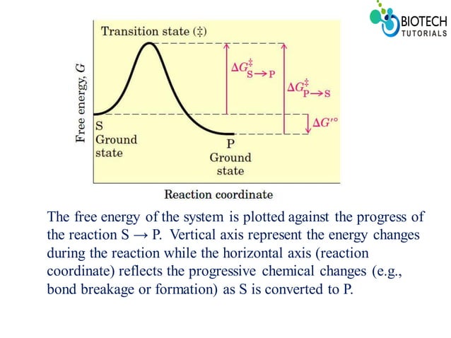Enzyme II Mechanisms of action BSc 2nd sem .pdf | Chemistry | Science